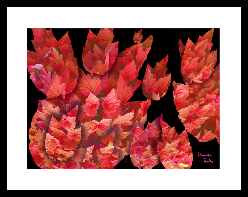 Fractals – Tooley Art Studio